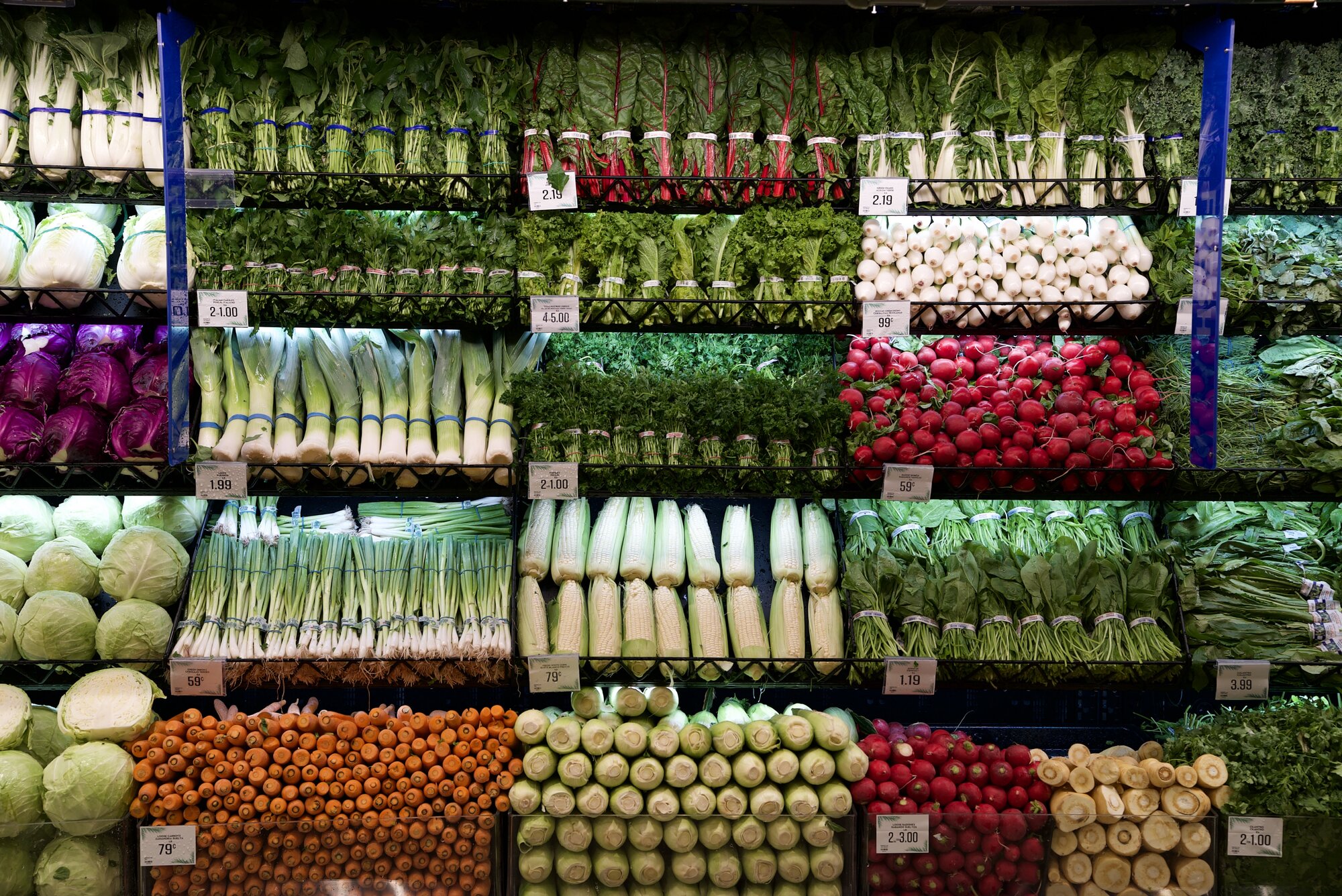 The Versa Wall: A Clean, Organized Way to Boost Refrigerated Produce ...